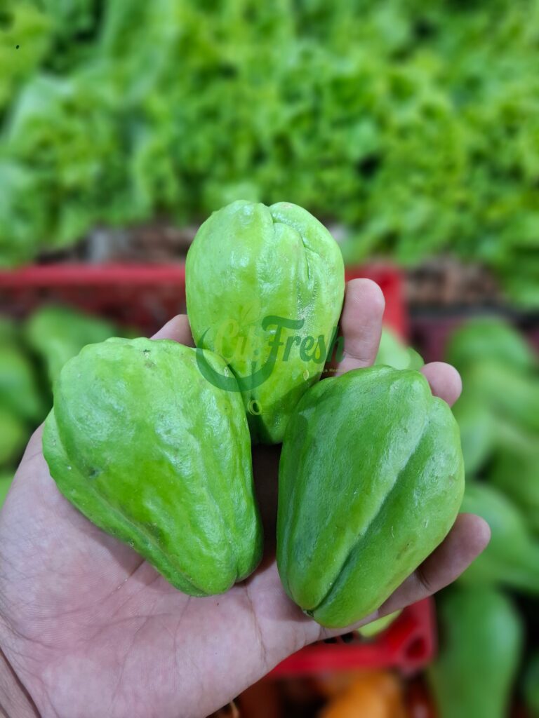 Baby Labu Siam Yang Kaya Akan Khasiat Dan Manfaat