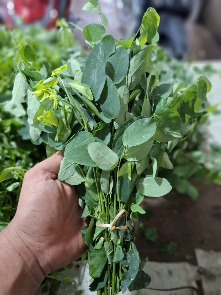 Daun Katuk: 5 Manfaat & Trik Hilangkan Rasa Pahit