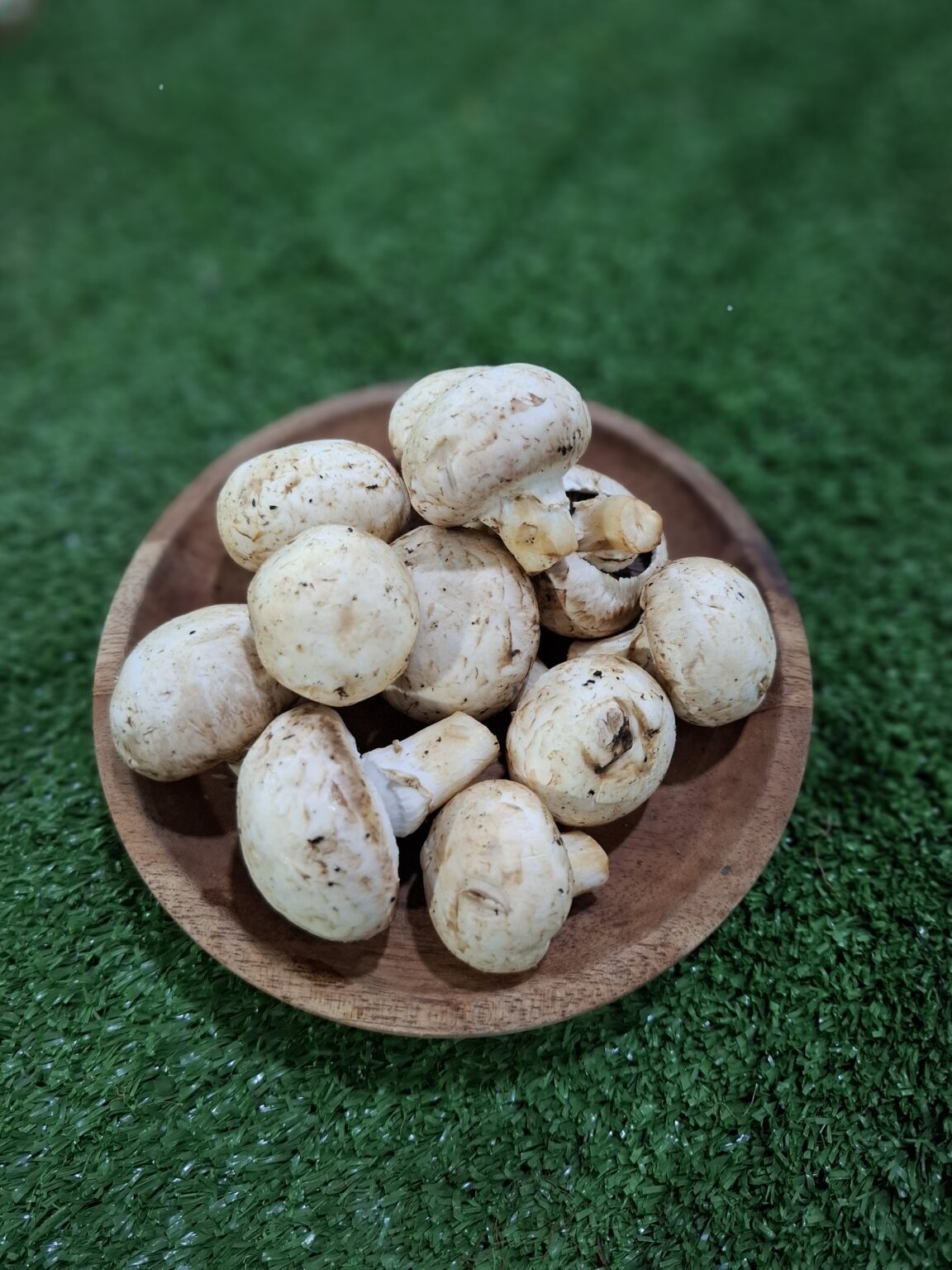 Jamur Kancing: Si Kecil Yang Kaya Manfaat Dan Rasa