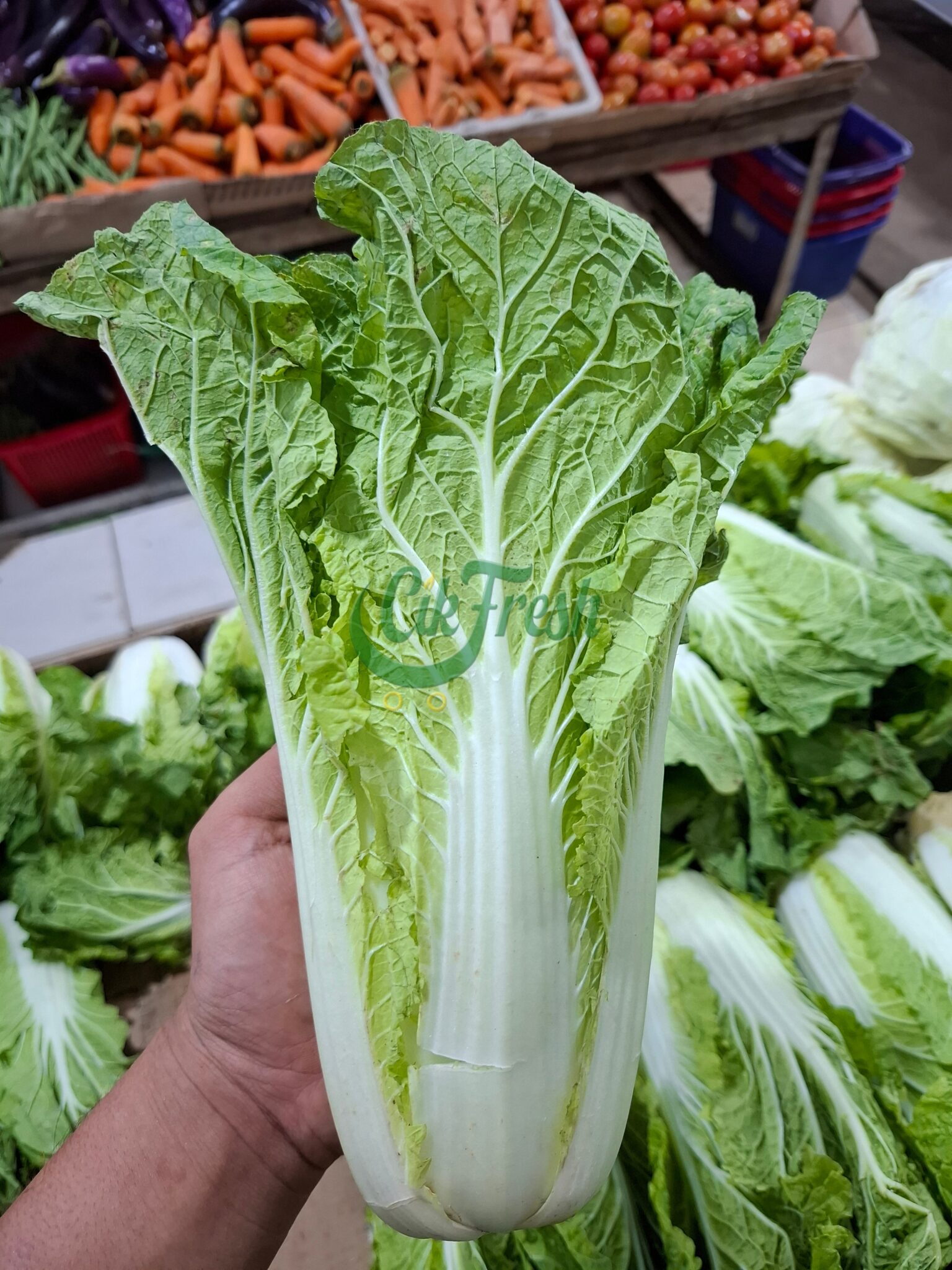 Rahasia Sayuran Sehat Sawi Putih Dan Manfaatnya