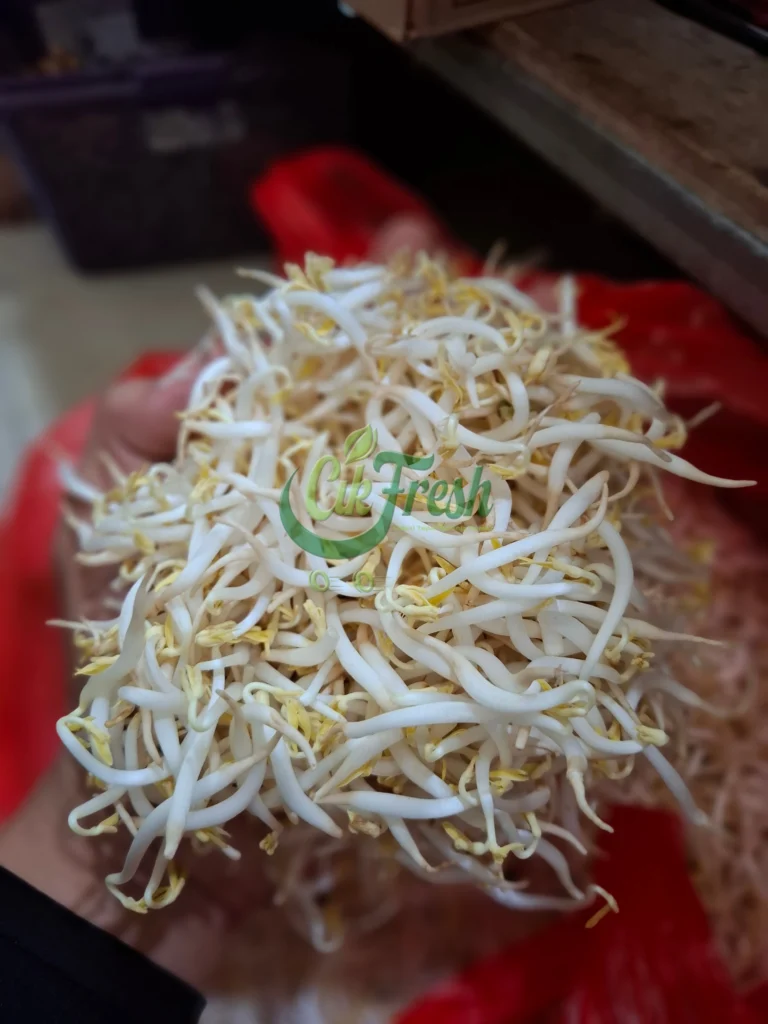Toge Atau Taoge? Kenali Perbedaan, Manfaat, Dan Tips Memilih
